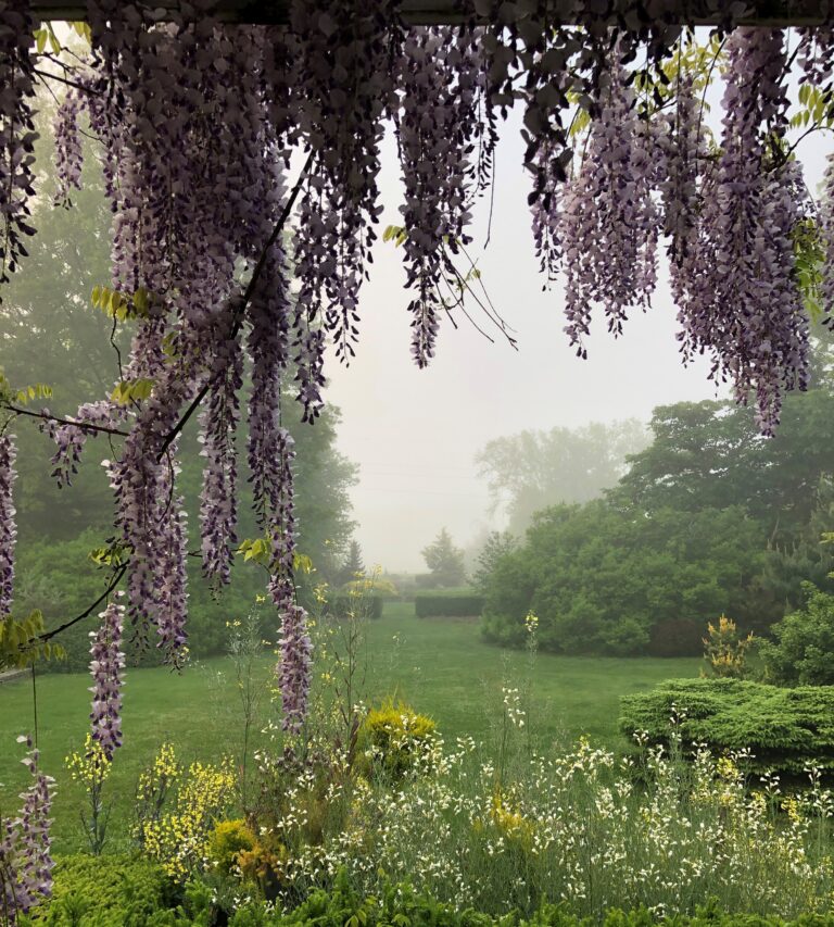 Our Story & Media – Landcraft Garden Foundation